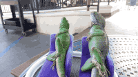 Iguanas GIFs - Get the best gif on GIFER