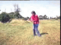 Smuggle GIFs - Get the best gif on GIFER