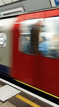 Gawark gawk GIFs - Get the best gif on GIFER