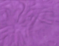 Histone GIFs - Get the best gif on GIFER