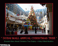 Mfs GIFs - Get the best gif on GIFER