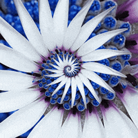 Biodiversity GIFs - Get the best gif on GIFER