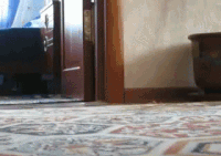 Beep GIFs - Get the best gif on GIFER