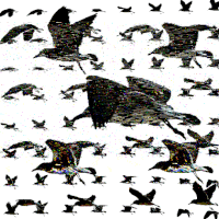 Variation GIFs - Get the best gif on GIFER