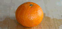Orange GIFs - Get the best gif on GIFER