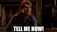 Telling GIFs - Get the best gif on GIFER