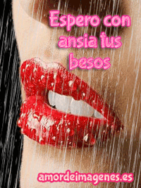 Amor GIF - Conseguir el mejor gif en GIFER