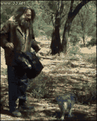 Wallabies GIFs - Get the best gif on GIFER