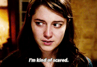 Smashed GIFs - Get the best gif on GIFER