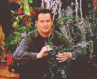 Splendid GIFs - Get the best gif on GIFER