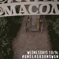 Macon GIFs - Get the best gif on GIFER