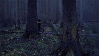 Shadows GIFs - Get the best gif on GIFER