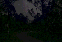 Headlight GIFs - Get the best gif on GIFER