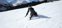 Ski GIFs - Get the best gif on GIFER