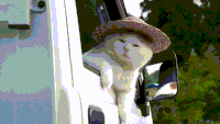 China GIFs - Get the best gif on GIFER