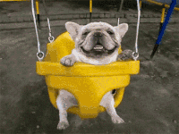 Quickly GIFs - Get the best gif on GIFER