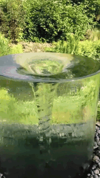 Tourbillon GIFs - Get the best gif on GIFER