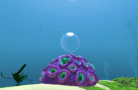 Coral GIFs - Get the best gif on GIFER