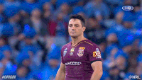 Nrl GIFs - Get the best gif on GIFER