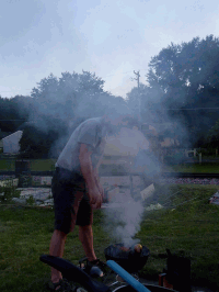 Poultry GIFs - Get the best gif on GIFER