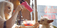 Pampering GIFs - Get the best gif on GIFER