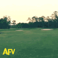 Golf cart GIF - Conseguir o melhor gif em GIFER