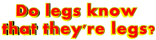 Do legs know that theyre legs GIF - Conseguir o melhor gif em GIFER