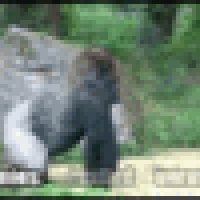 Unresponsive GIFs - Get the best gif on GIFER