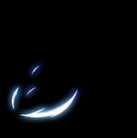 Essential GIFs - Get the best gif on GIFER