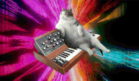 Synthesizer GIFs - Get the best gif on GIFER