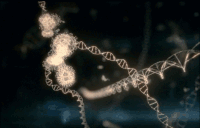 Closeup GIFs - Get the best gif on GIFER