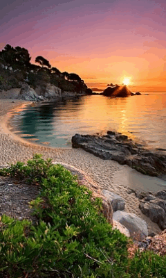 Beautiful beach GIFs - Get the best gif on GIFER