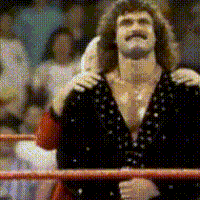 Moustache GIFs - Get the best gif on GIFER