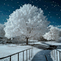 Life GIFs - Get the best gif on GIFER