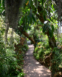 Nikon GIFs - Get the best gif on GIFER