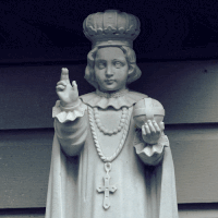 Philips GIFs - Get the best gif on GIFER