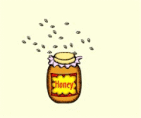 Honey GIFs - Get the best gif on GIFER