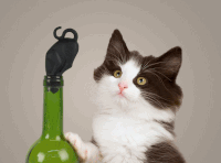 Stopper GIFs - Get the best gif on GIFER