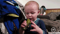Pickle GIFs - Get the best gif on GIFER