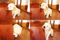 Rest GIFs - Get the best gif on GIFER