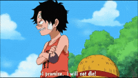 Ace GIFs - Get the best gif on GIFER