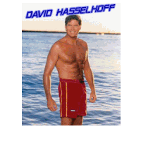 Hasselhoff GIFs - Get the best gif on GIFER