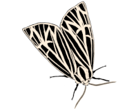 Mites GIFs - Get the best gif on GIFER