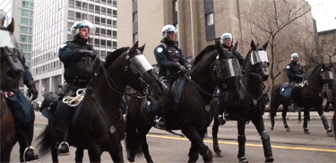 Mounted GIFs - Get the best gif on GIFER