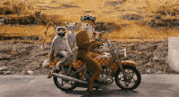 Adaptation GIFs - Get the best gif on GIFER