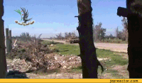Granada GIFs - Get the best gif on GIFER