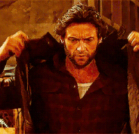 Wolverines GIFs - Get the best gif on GIFER