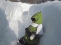 Snowsuit GIFs - Get the best gif on GIFER