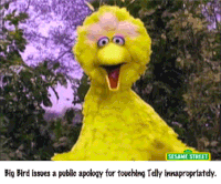 Big bird GIFs - Get the best gif on GIFER