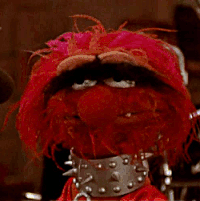 Muppets GIFs - Get the best gif on GIFER